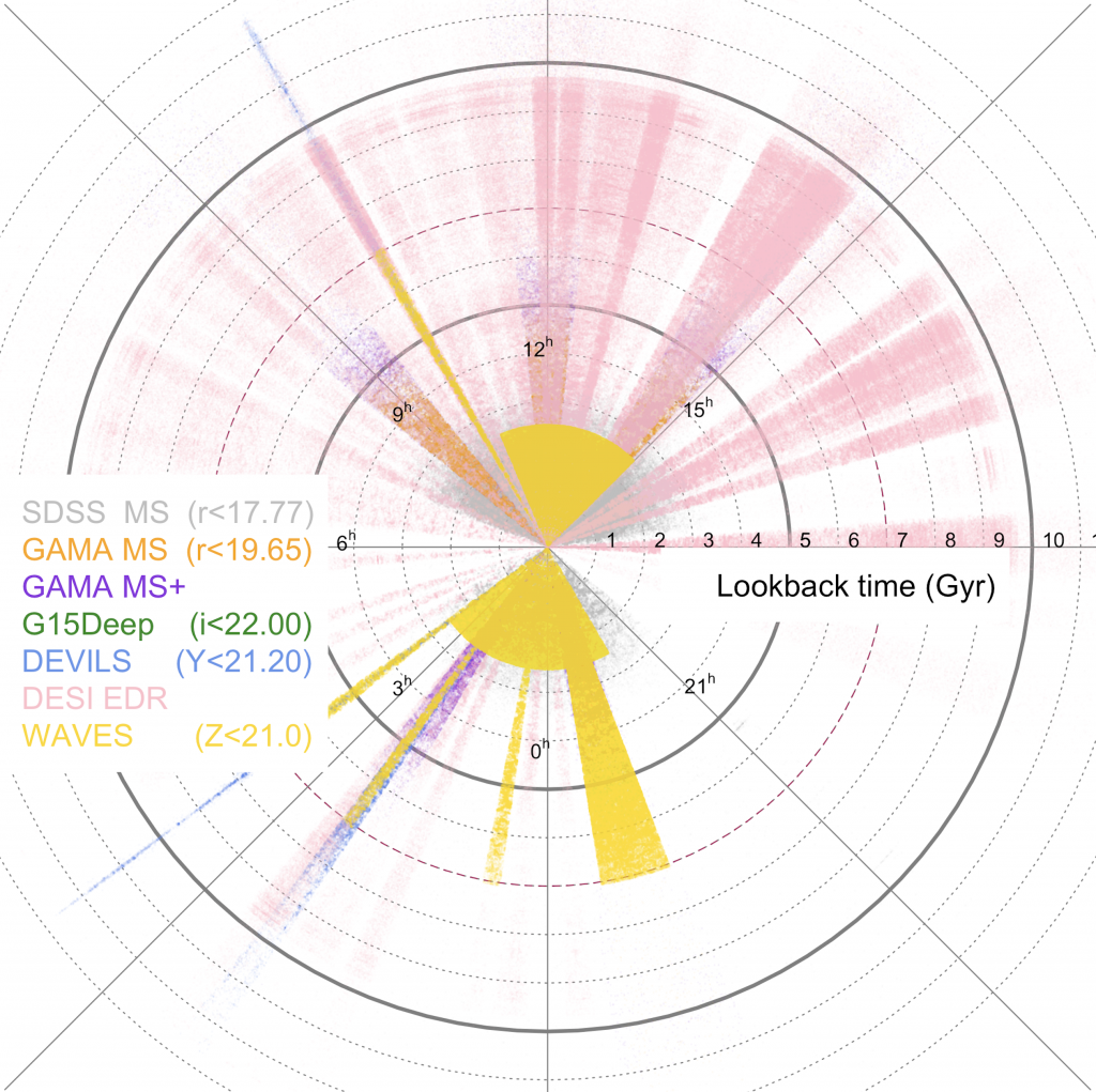 WAVES – Wide Area Vista ExtraGalactic Survey